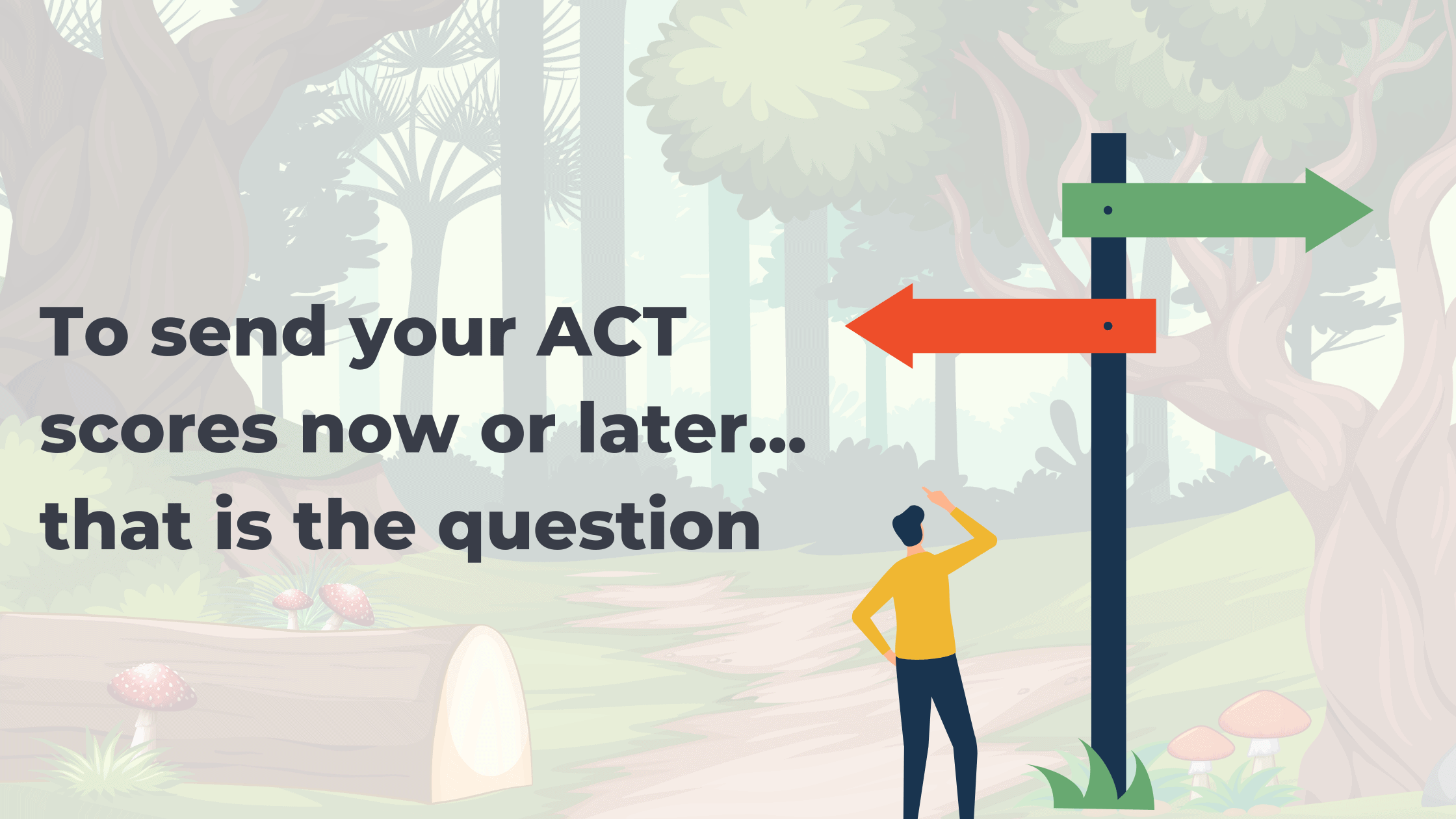 ACT Test Scores: What to Do Before Sending Them to Your Dream School ...